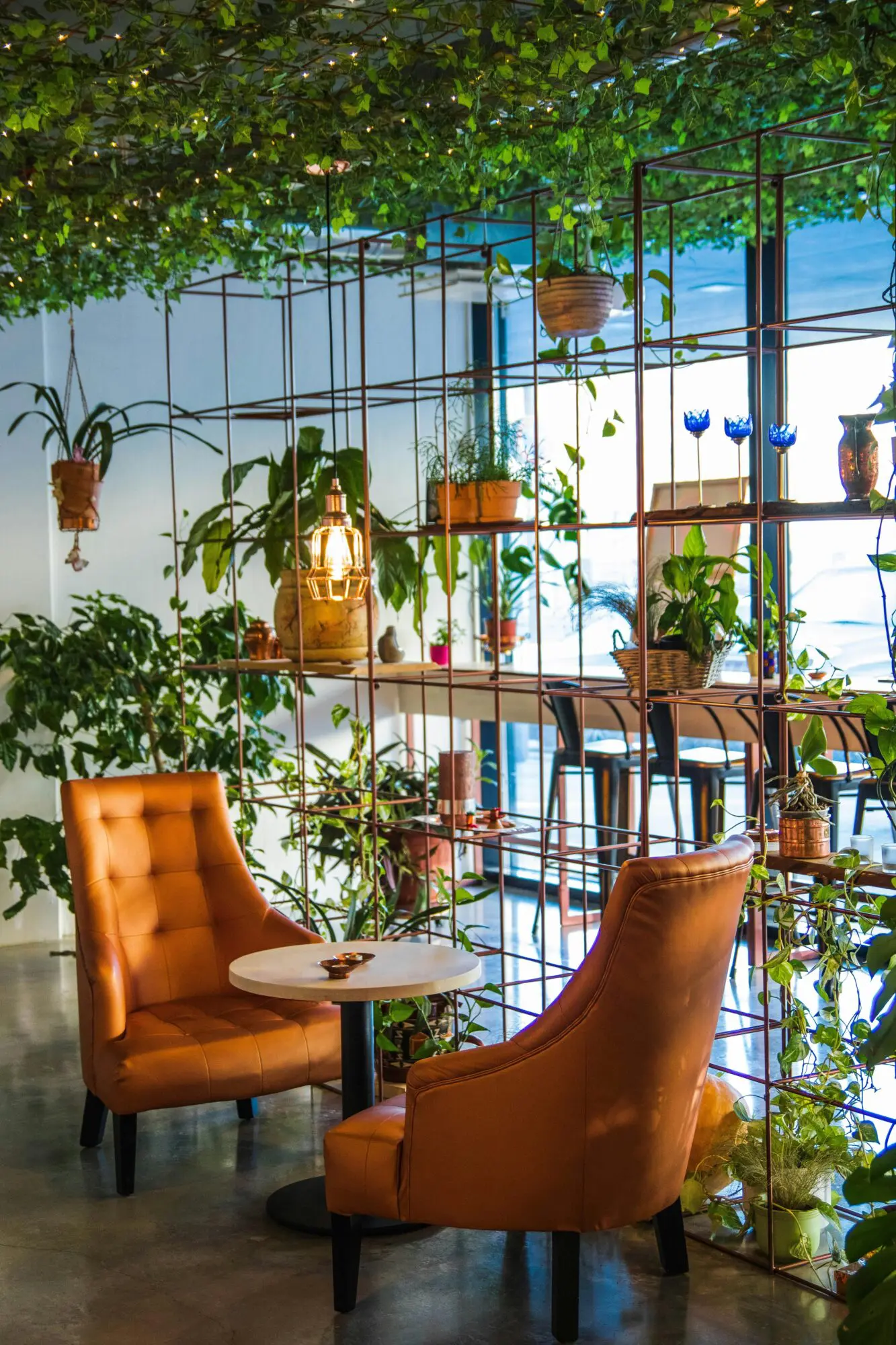 About Us - Chye Heng Orchid Garden